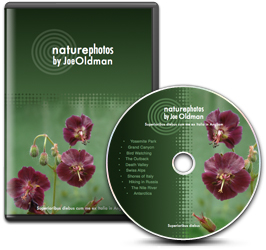 CD and DVD Label Software for Mac | Swift Publisher